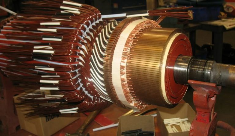 Discover The Fundamentals of DC Motor Rewinding | insectsunlocked